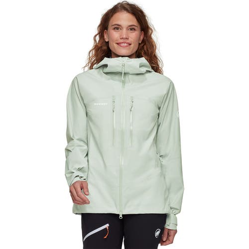 MAMMUT Mammut Taiss HS Hooded Jacket